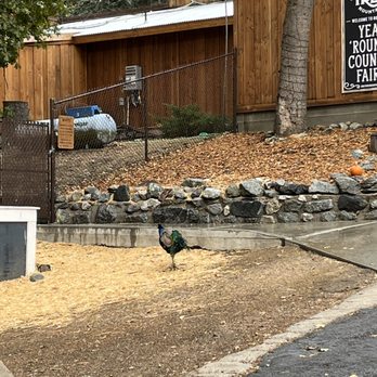 OAK TREE MOUNTAIN - Updated October 2024 - 589 Photos & 143 Reviews ...