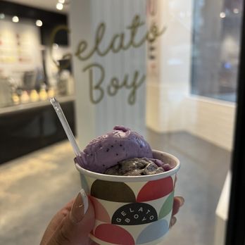 GELATO BOY - Updated July 2024 - 64 Photos & 50 Reviews - 535 16th St ...