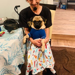 BEACH GARFIELD VETERINARY HOSPITAL - Updated December 2025 - 168 Photos ...