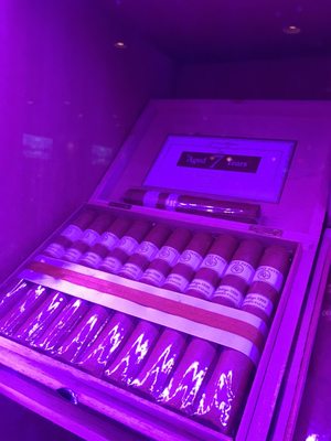 STRAY CAT LOUNGE - Updated May 2024 - 118 Photos & 75 Reviews - 40813 ...