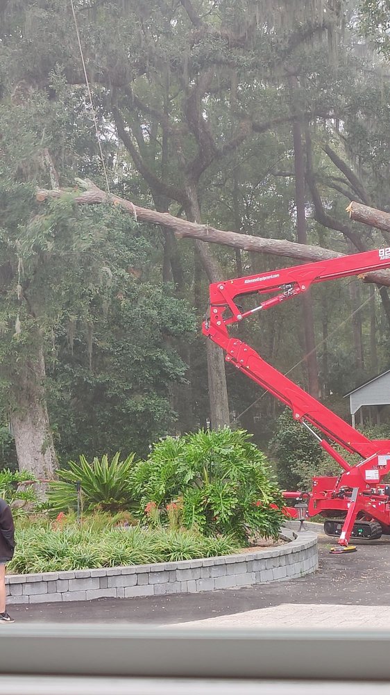 AMERICAN TREE SURGEONS - Updated July 2025 - 60 Photos - 2555 County Rd ...