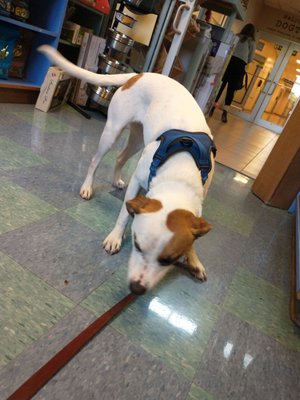 WISCONSIN HUMANE SOCIETY - Updated April 2026 - 71 Photos & 73 Reviews ...