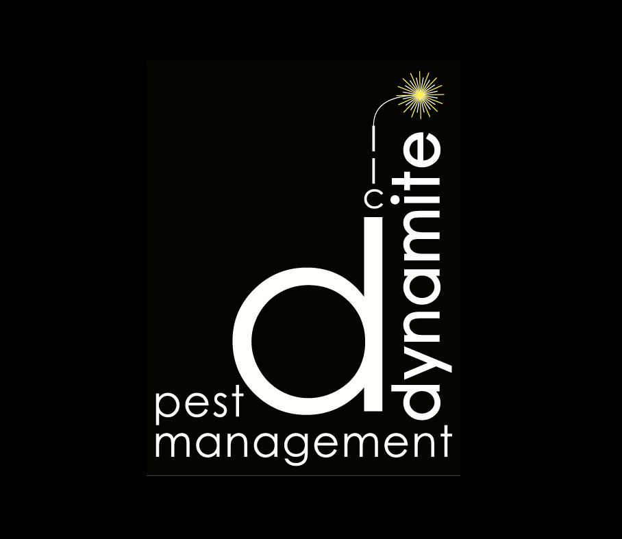 DYNAMITE PEST MANAGEMENT - Updated August 2024 - Independence, Missouri ...