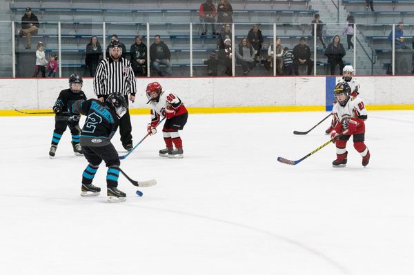 DEARBORN ICE SKATING CENTER - Updated July 2025 - 33 Photos - 14900 ...