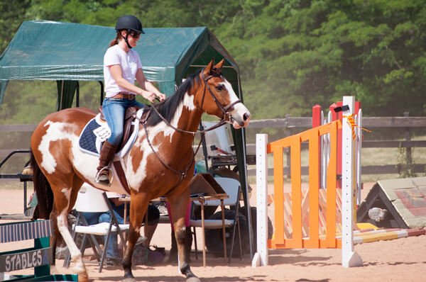 SCOTSGROVE STABLES - Updated December 2025 - 34 Photos - 851 Grand ...