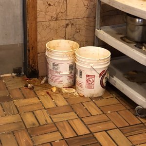 FUJIAN GRAND CHINA BUFFET - 65 Photos & 225 Reviews - 8709 North ...