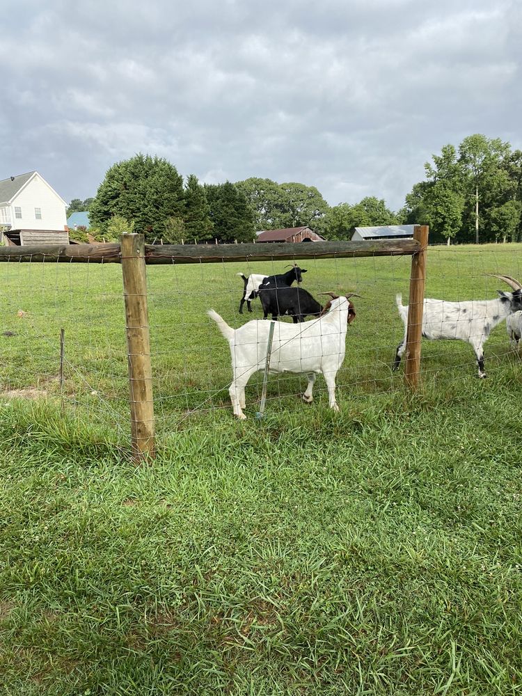 BERRY PATCH FARMS - 24 Photos & 35 Reviews - 786 Arnold Mill Rd ...