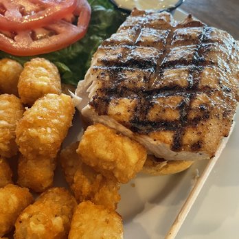 COASTERS TAPHOUSE - Updated August 2024 - 398 Photos & 369 Reviews ...