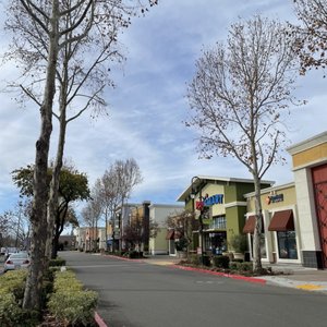 NUT TREE - 233 Photos & 119 Reviews - 1661 E Monte Vista Ave, Vacaville ...