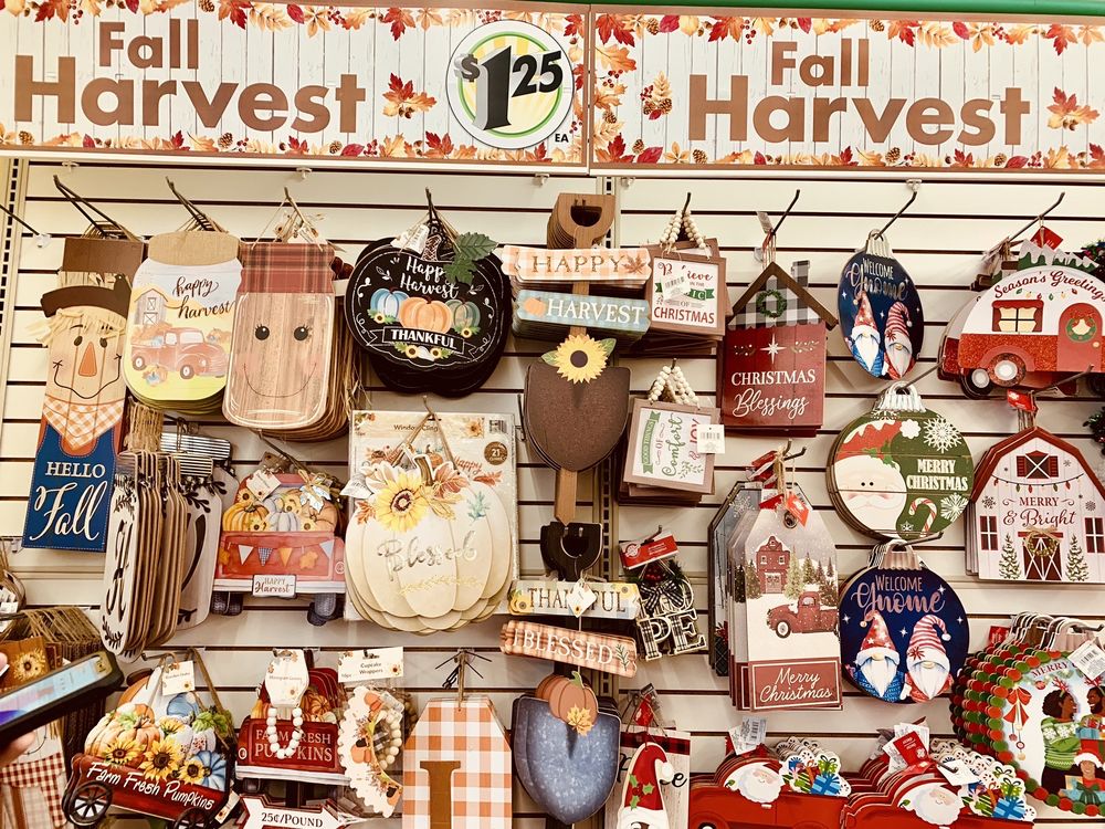 DOLLAR TREE - Updated July 2025 - 59 Photos & 18 Reviews - 1041 ...