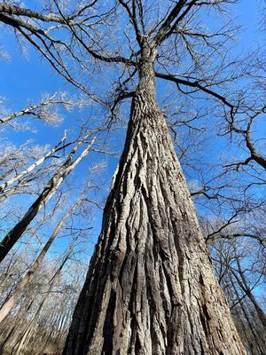 BENBROOK LAKE - Updated November 2025 - 7001 Benbrook Lake Dr, Fort ...