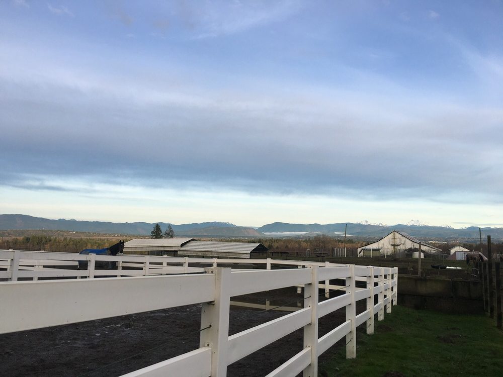 EAGLE MOUNTAIN RANCH - Updated July 2025 - 805 Lakewood Rd, Arlington ...