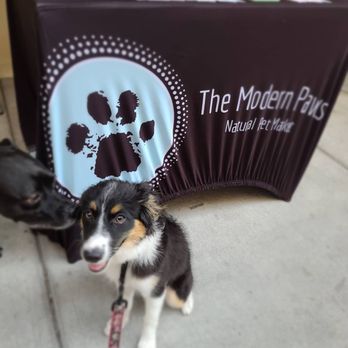 THE MODERN PAWS - Updated September 2025 - 112 Photos & 52 Reviews ...