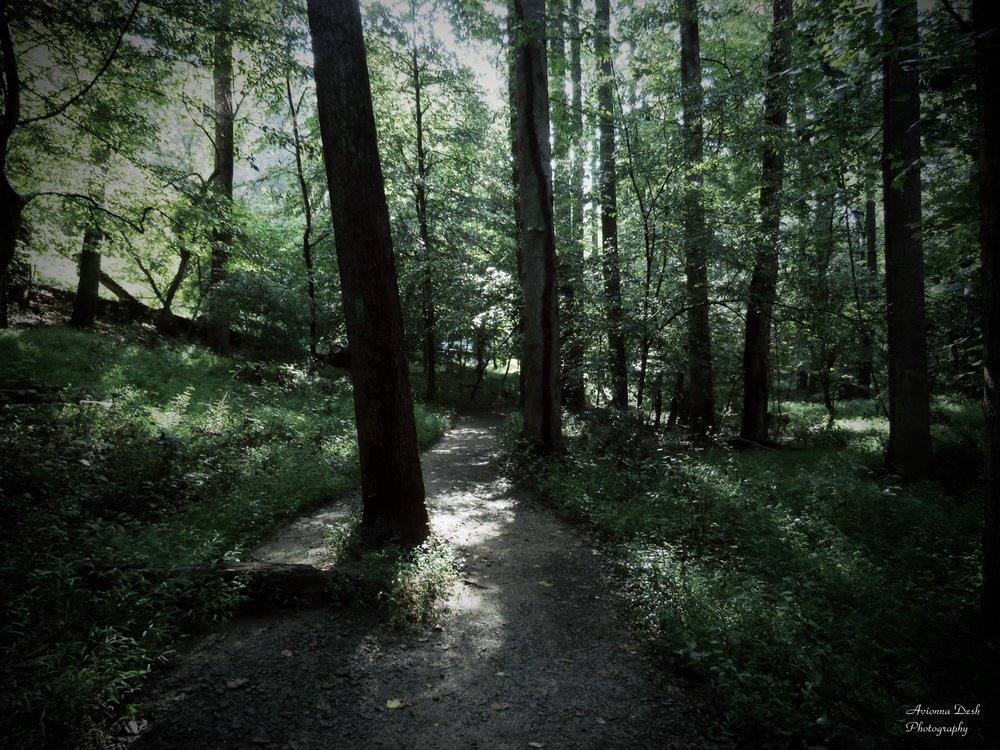 DIFFICULT RUN STREAM VALLEY PARK - 21 Photos - 8801 VA-193, McLean ...