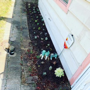 LOUIE’S NURSERY - Updated October 2025 - 299 Photos & 198 Reviews ...