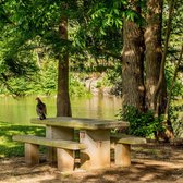 KL RANCH CAMP “ON THE RIVER” - 78 Photos & 24 Reviews - 5455 River Rd ...