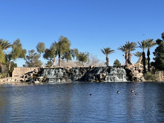 ALIANTE NATURE DISCOVERY PARK - 361 Photos & 120 Reviews - 2627 Nature ...