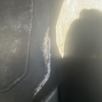 AVIS CAR RENTAL - Updated June 2025 - 324 Photos & 1459 Reviews - 25500 ...