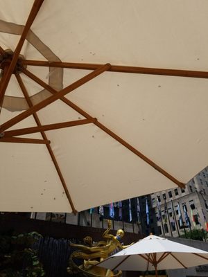 ROCKEFELLER CENTER CONCOURSE PLAZA - Updated December 2025 - 33 Photos ...