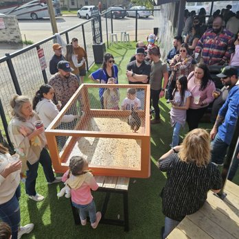 BACKPORCH SOCIAL - Updated January 2026 - 56 Photos & 28 Reviews - 309 ...