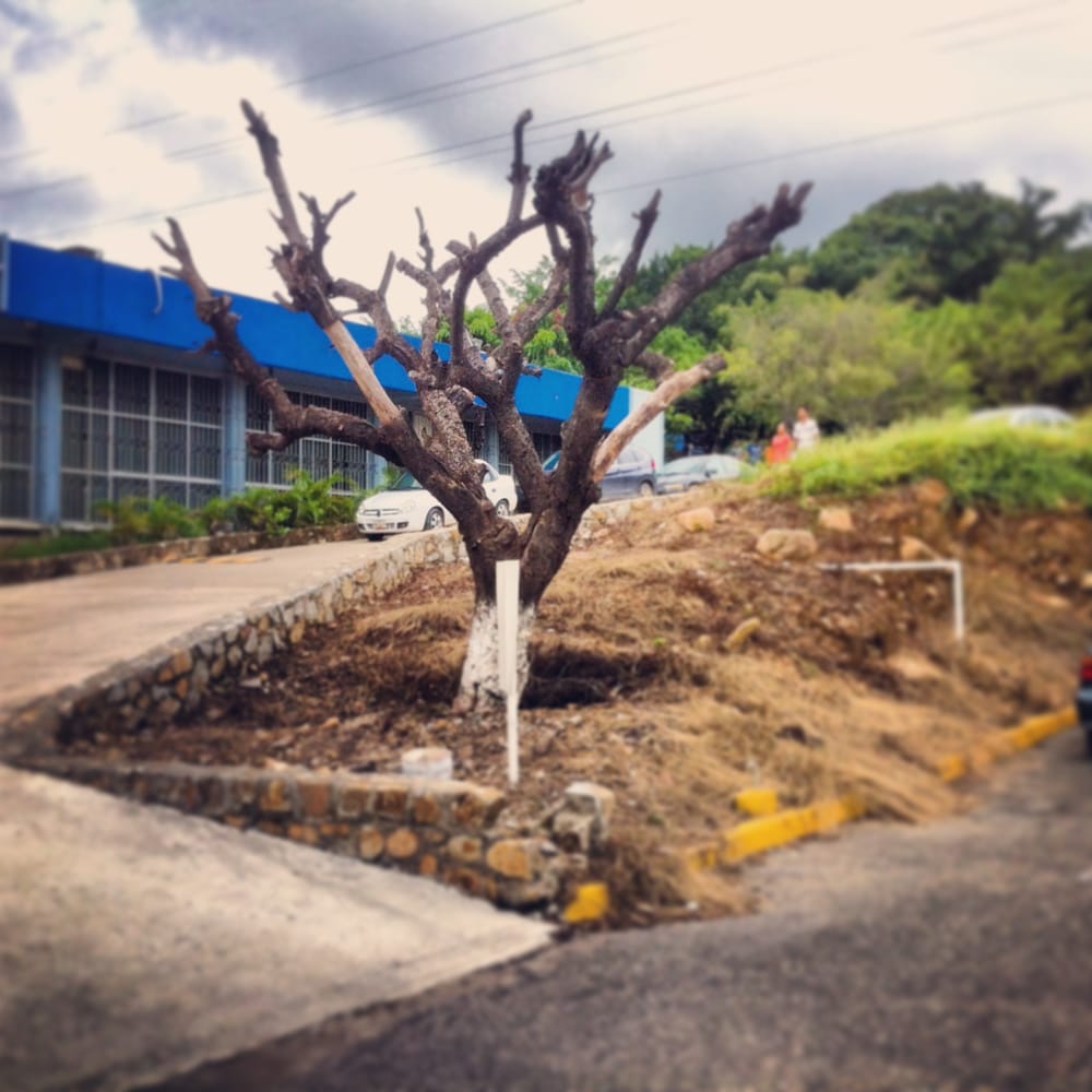 INSTITUTO TECNOLÓGICO DE ACAPULCO - Updated April 2024 - Avenida ...