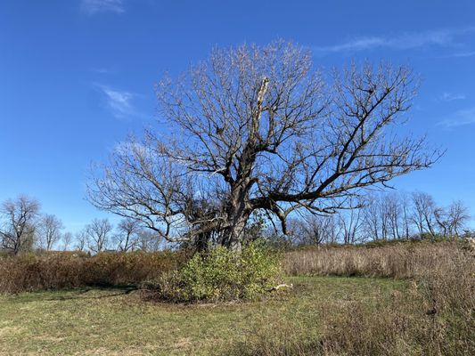 HISLE FARM PARK - Updated September 2025 - 21 Photos - 3551 Briar Hill ...