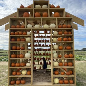 ROCKBERRY RANCH - Updated September 2025 - 159 Photos & 22 Reviews ...