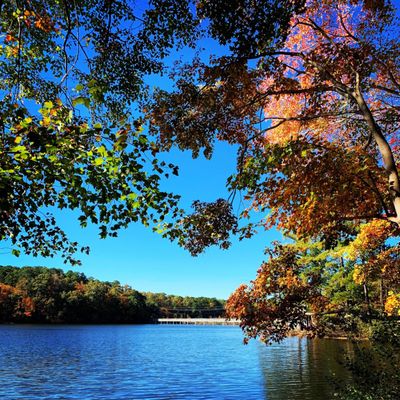 Lake Johnson Park - 204 Photos & 115 Reviews - Parks - 4601 Avent Ferry ...