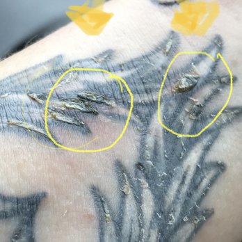 ORPHEUS TATTOO STUDIO - Updated December 2025 - 640 Hermann Rd, North ...