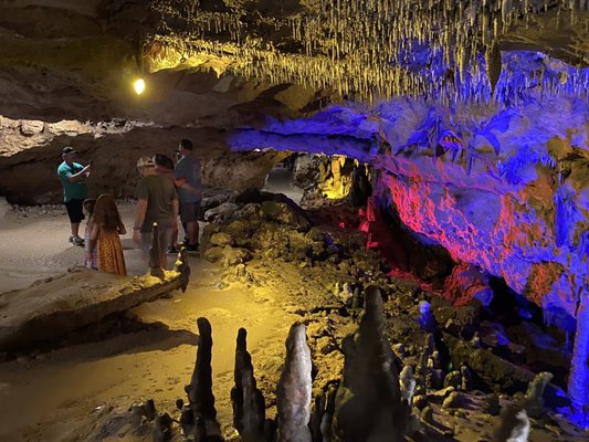 FLORIDA CAVERNS STATE PARK - 449 Photos & 139 Reviews - 3345 Caverns Rd ...