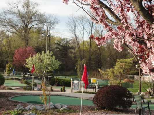 PUTT U MINIATURE GOLF - Updated November 2025 - 16 Photos & 36 Reviews ...