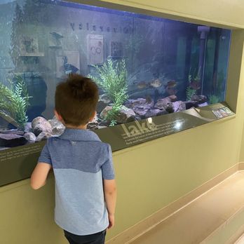 ECOTARIUM - Updated August 2025 - 452 Photos & 90 Reviews - 222 ...