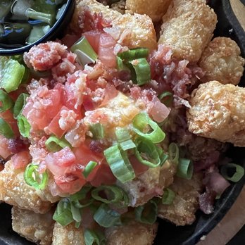 THE FAT RABBIT PUB - 460 Photos & 391 Reviews - 16029 Tampa Palms Blvd ...