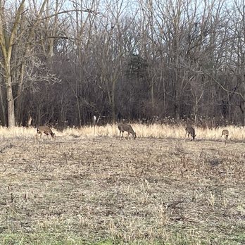 SPRING VALLEY NATURE CENTER & HERITAGE FARM - Updated January 2026 ...