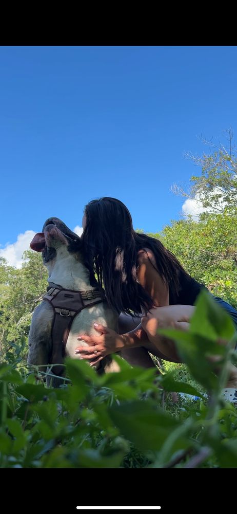 TLC PET PRO - Updated May 2025 - Request a Quote - Fort Myers, Florida ...