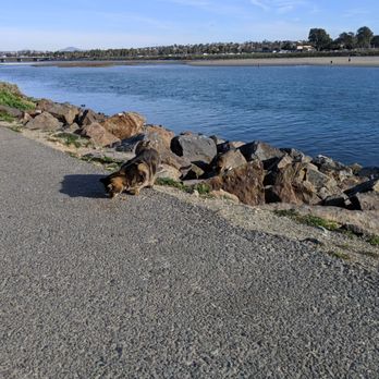 CAT JETTY - Updated December 2025 - 163 Photos & 18 Reviews - 2510 ...