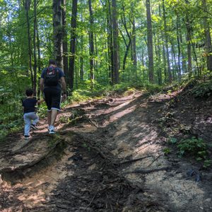 MCKOY PARK - Updated July 2024 - 58 Photos - 1000 Adams St, Decatur ...