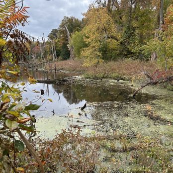 NORTH POINT STATE PARK - Updated December 2025 - 128 Photos & 31 ...