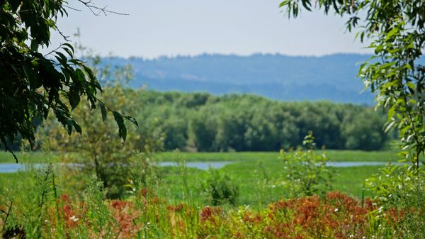 SMITH AND BYBEE LAKE WILDERNESS AREA - Updated July 2024 - 97 Photos ...