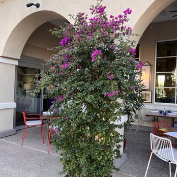 SIMPLY CAPRI - Updated July 2024 - 297 Photos & 156 Reviews - 114 Ruby ...