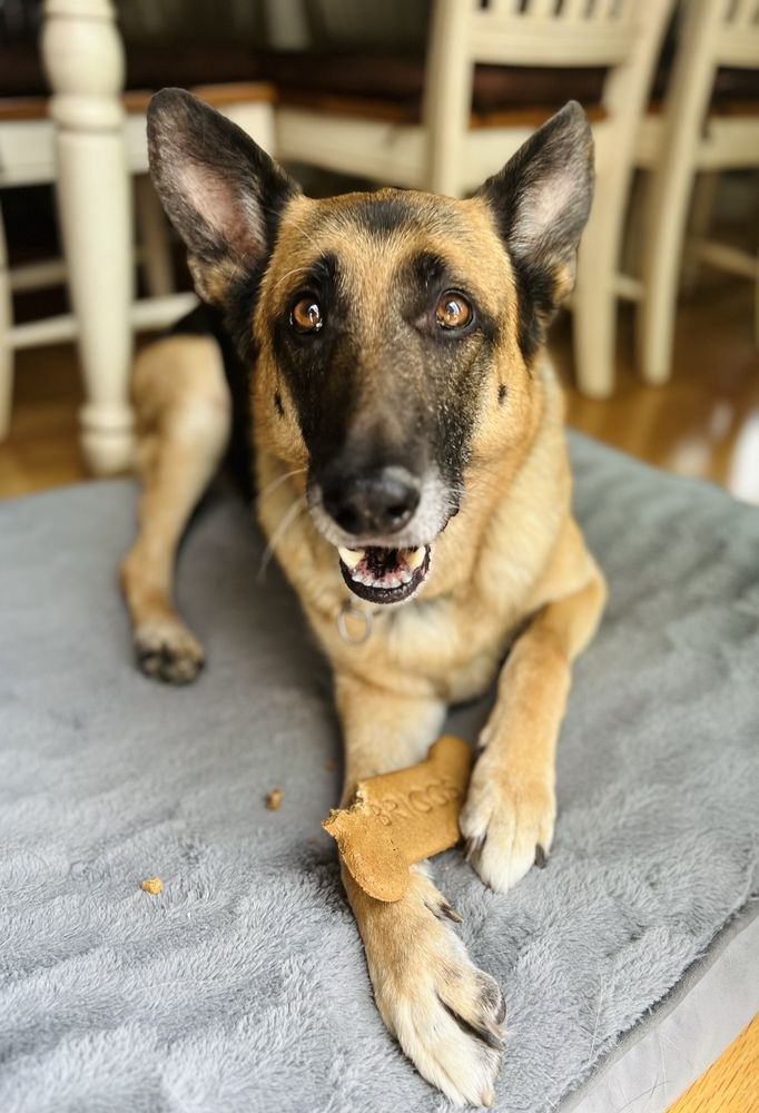 BRIGGS NURSERY - Updated May 2025 - 141 Photos & 76 Reviews - 295 ...