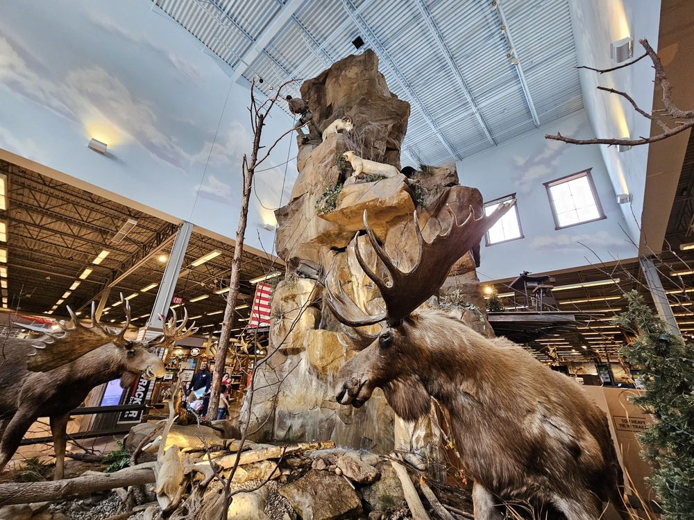 BASS PRO SHOPS - Updated December 2025 - 527 Photos & 164 Reviews ...
