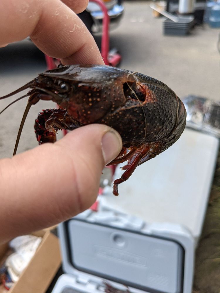 MISSION SEAFOOD MARKET - Updated March 2025 - 80 Photos & 161 Reviews ...