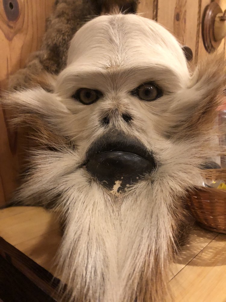 MASTER RACK LODGE - Updated February 2025 - 13096 County Road 14, Union ...