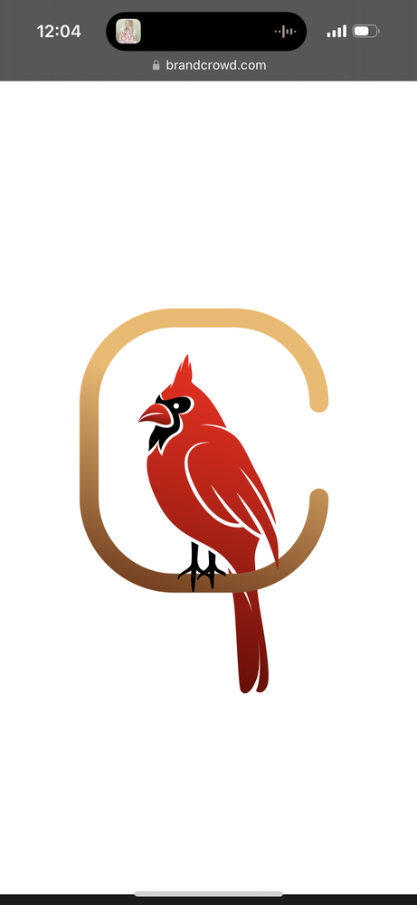 CARDINAL INNOVATIONS 【Indianapolis, Indiana】 Demolition Services ...