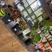 HIGH HAND NURSERY - 571 Photos & 146 Reviews - 3750 Taylor Rd, Loomis ...