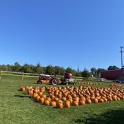 HOLMBERG ORCHARDS - 233 Photos & 80 Reviews - 12 Orchard Ln, Gales ...