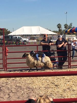 ARIZONA NATIONAL LIVESTOCK SHOW - Updated September 2025 - 14 Photos ...