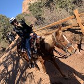 ACADEMY RIDING STABLES - 389 Photos & 223 Reviews - 4 El Paso Blvd ...