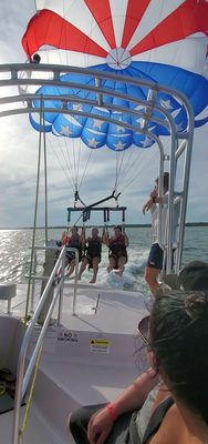 RADICAL RIDES - 30 Photos & 47 Reviews - 444 Pensacola Beach Blvd ...